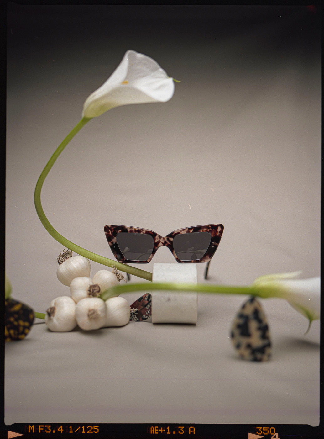 Myra tort – Nagira Spectacles